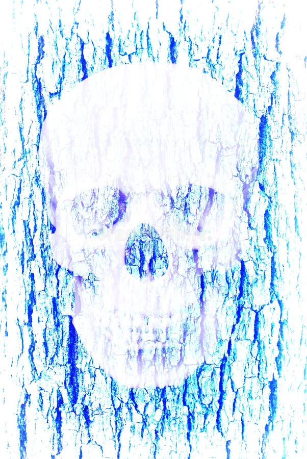 Skull and textures. stock illustration. Illustration of board - 54768662