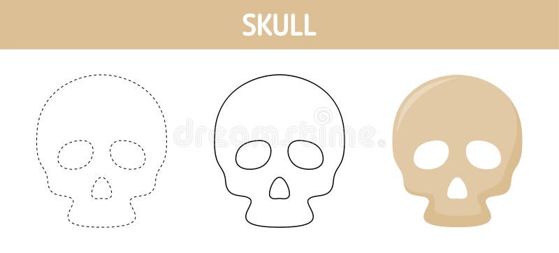 Skull Tracing and Coloring Worksheet for Kids Stock Vector ...