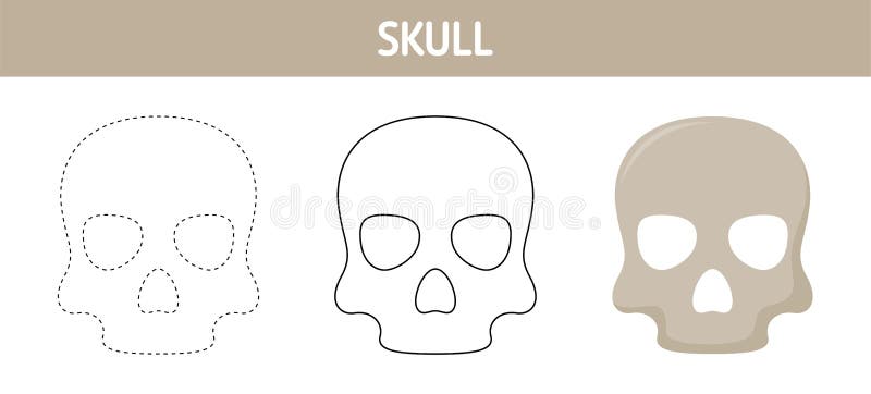 Skull Tracing and Coloring Worksheet for Kids Stock Vector ...
