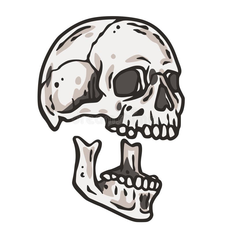 Skull Vector for Halloween Design. Skeleton Head or Bone Brutal Skull ...