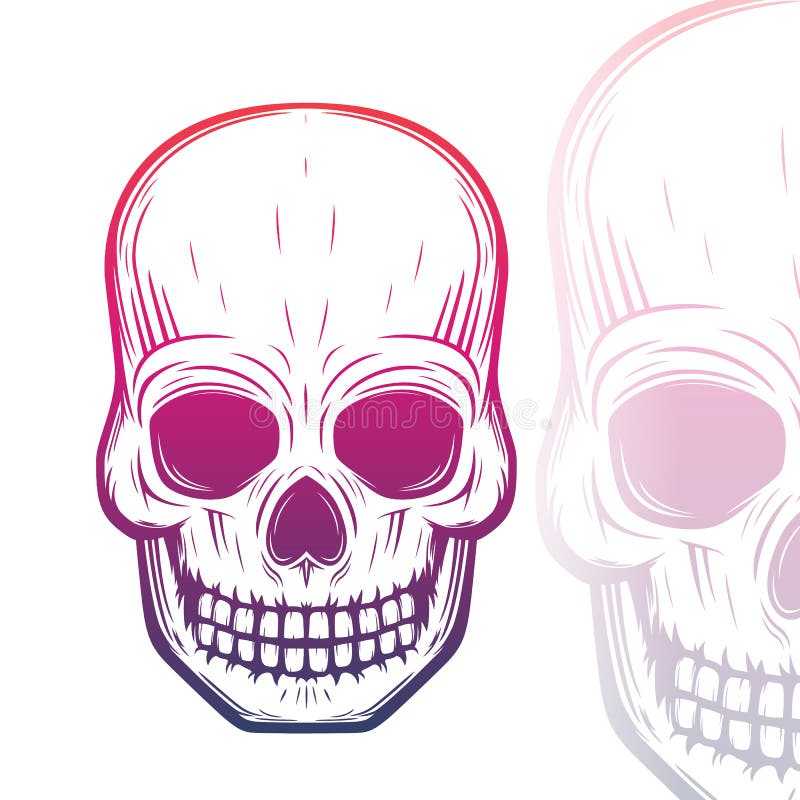 Skull Vector Illustration on White Stock Vector - Illustration of ...
