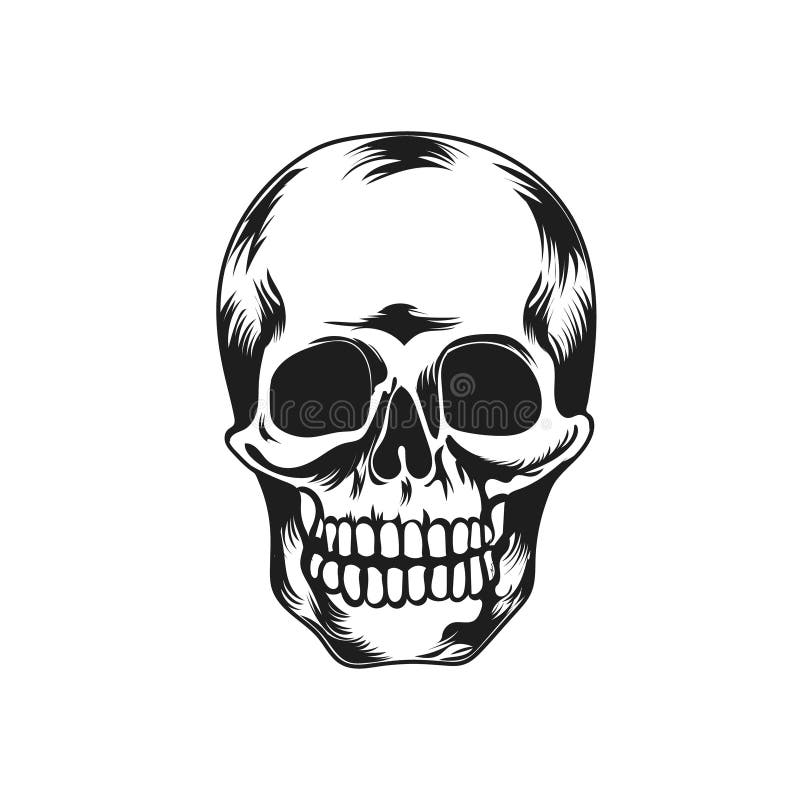 Skull Vector Image Art, Icon and Graphics Stock Vector - Illustration ...