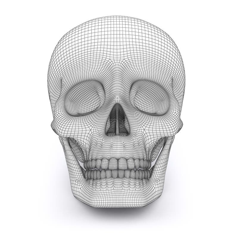 Skull Wireframe Stock Illustrations – 640 Skull Wireframe Stock ...