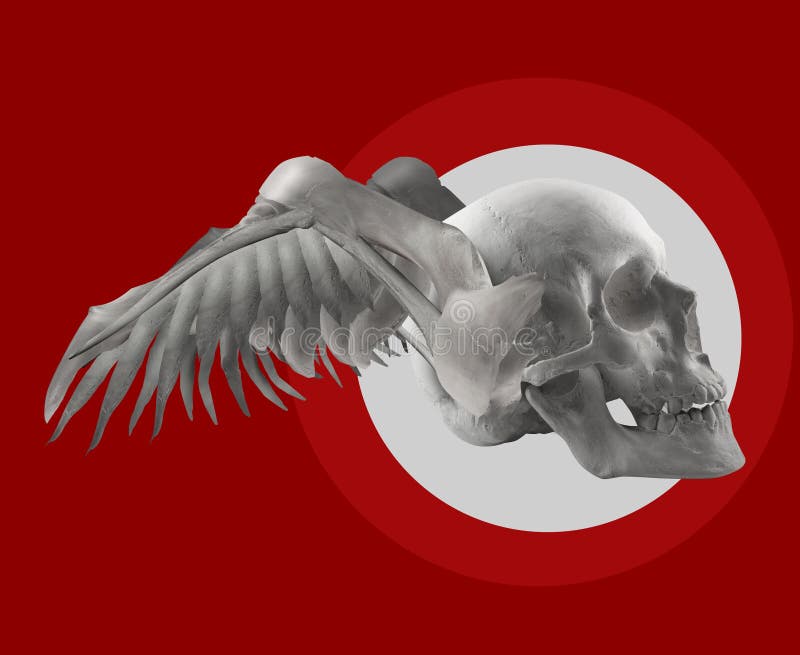 Red skull with wings stock illustration. Illustration of drawing - 7479913