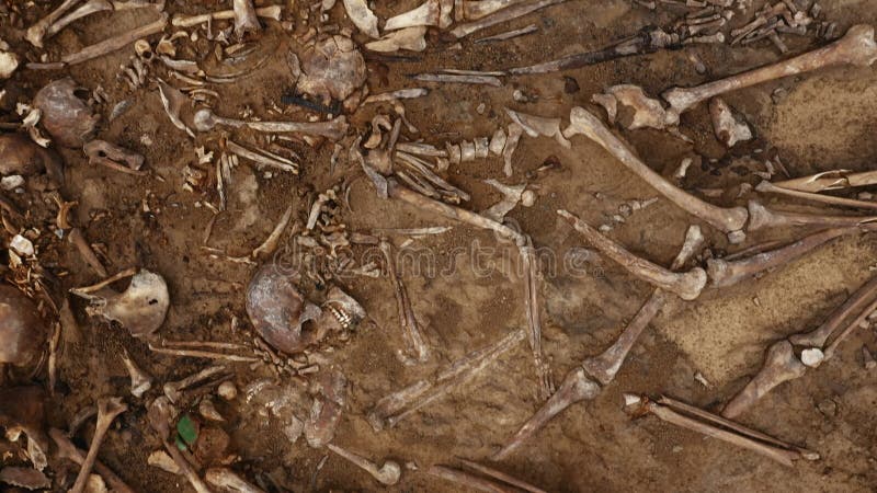 Skulls and Bones of People in the Ground. Human Remains Bones of ...
