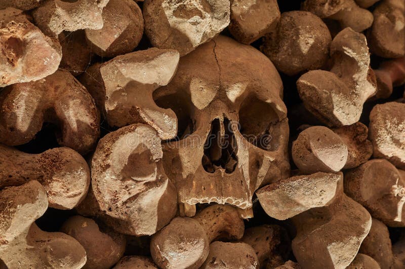 209 Catacomb Wall Texture Stock Photos - Free & Royalty-Free Stock ...