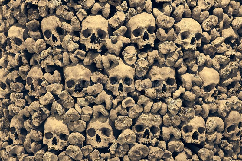 Skulls and bones in a wall stock photo. Image of backdrop - 198766000
