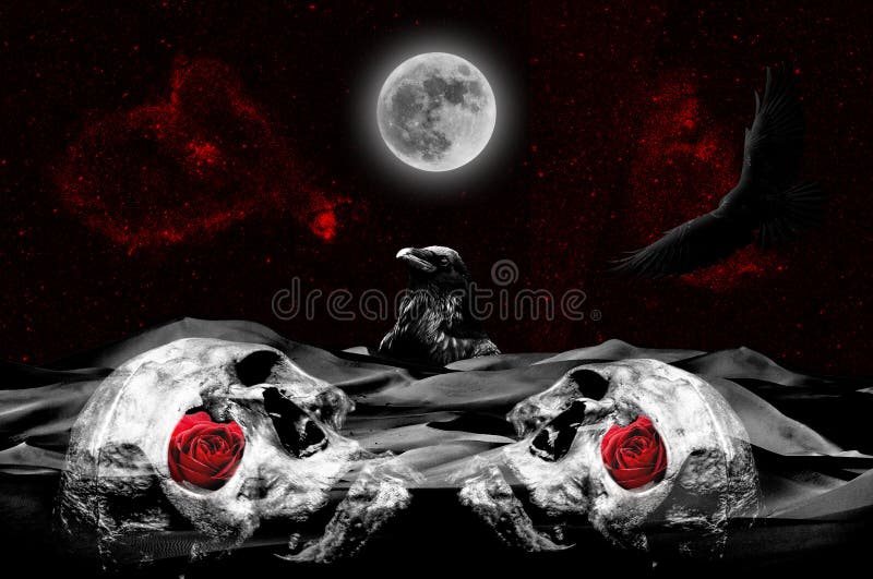 Skull, Rose, Crows and the Moon. Human Skull and Moon in Night Sky. Human Skull and Moon in ...