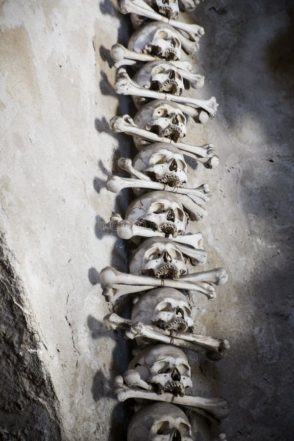 Skulls Put Together Vertically with Bones between Editorial Stock Photo ...