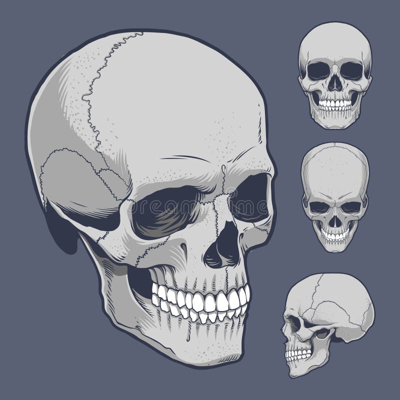 Skulls stock vector. Illustration of face, graphic, angles - 73708354