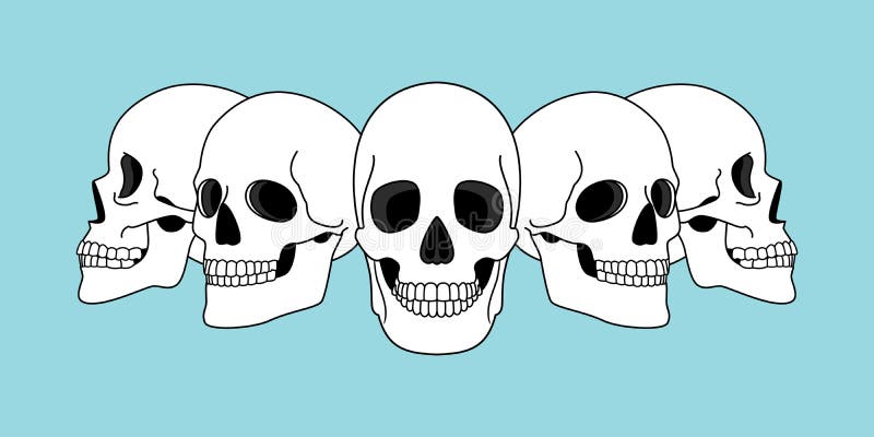 Skulls Views. Funny Horror Spooky Skull Front and Side View ...