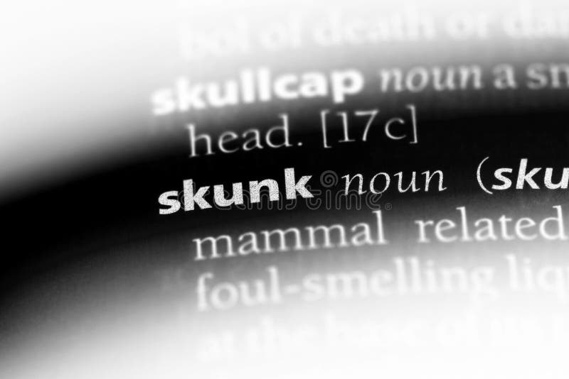 Skunk stock image. Image of macro, definition, closeup - 126619871
