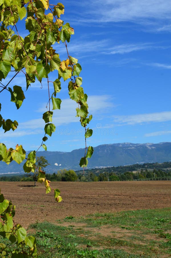 Sky, Agriculture, Tree, Field Picture. Image: 112571254