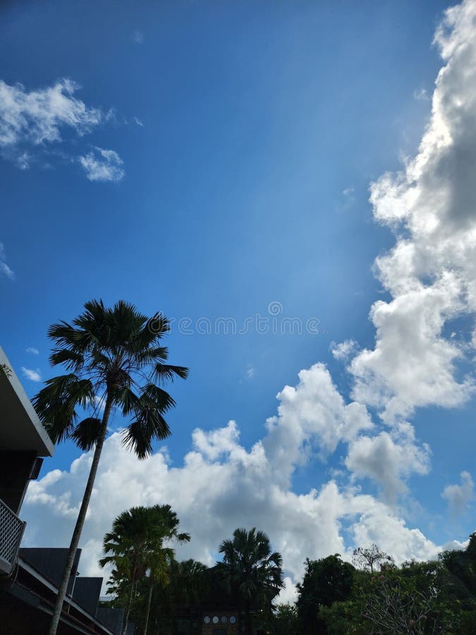 Sky in Angsana beach stock photo. Image of sunlight - 283359520