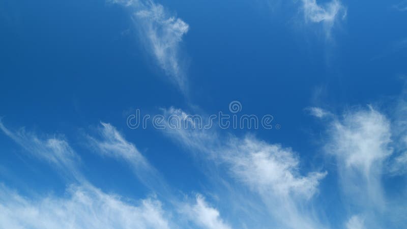 Creative Cirrus Vivible on the Morning Sky Stock Image - Image of ...