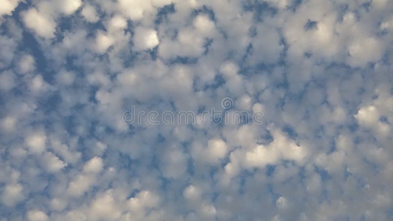 Homogeneous White Clouds Stock Photos - Free & Royalty-Free Stock ...