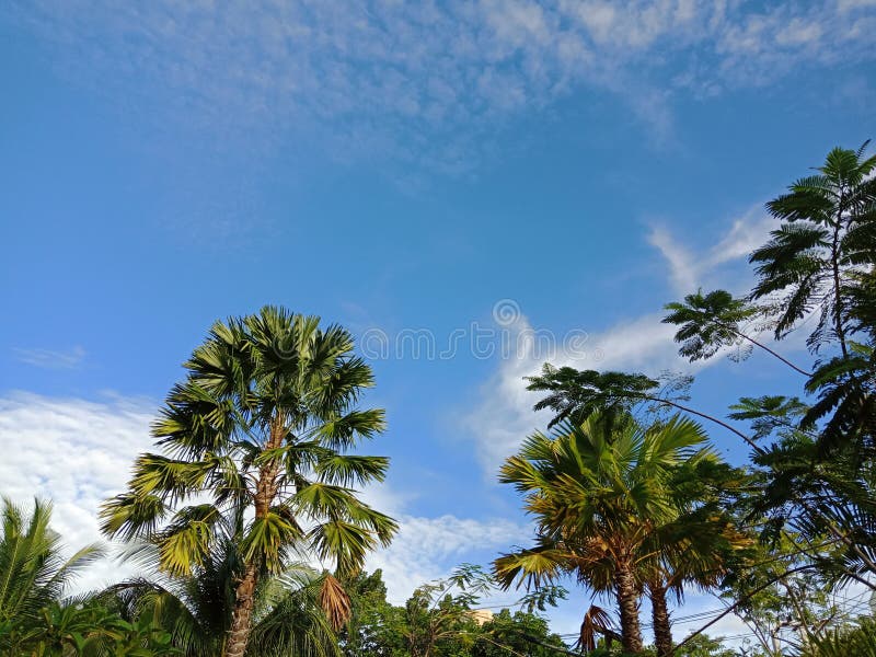 Sky above the everything stock image. Image of lunch - 134117929