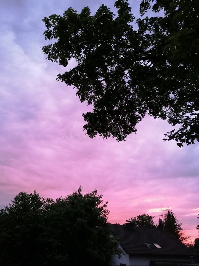 Sky at 4 am stock photo. Image of romantic, noises, bird - 183809108