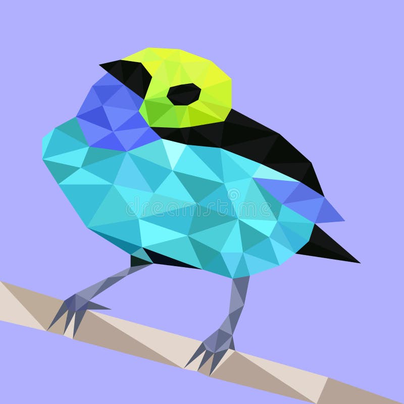 Sky blue polygon bird stock vector. Illustration of beak - 154705434
