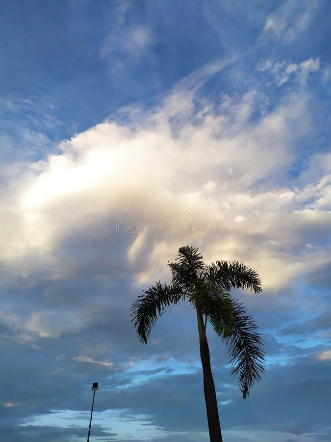 Rainbow in nature stock photo. Image of blue, freedom - 1483566