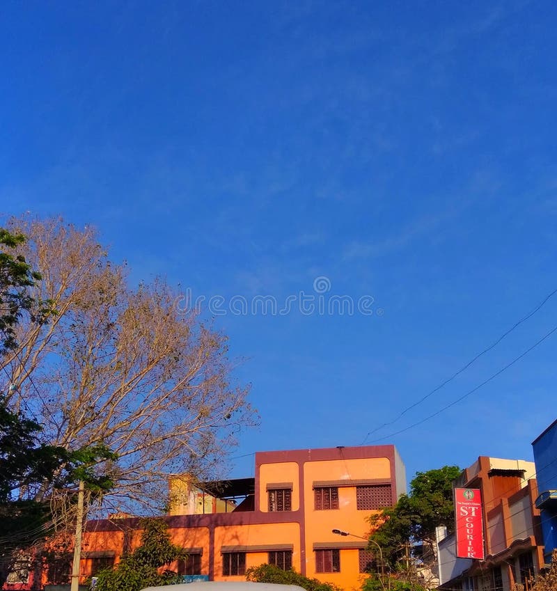 Sky Blue Tree Building Afternoon Editorial Stock Photo - Image of tree ...