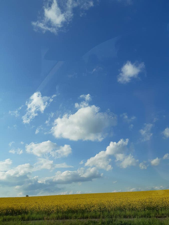 Sky blue turnip stock photo. Image of line, light, ocean - 213265042