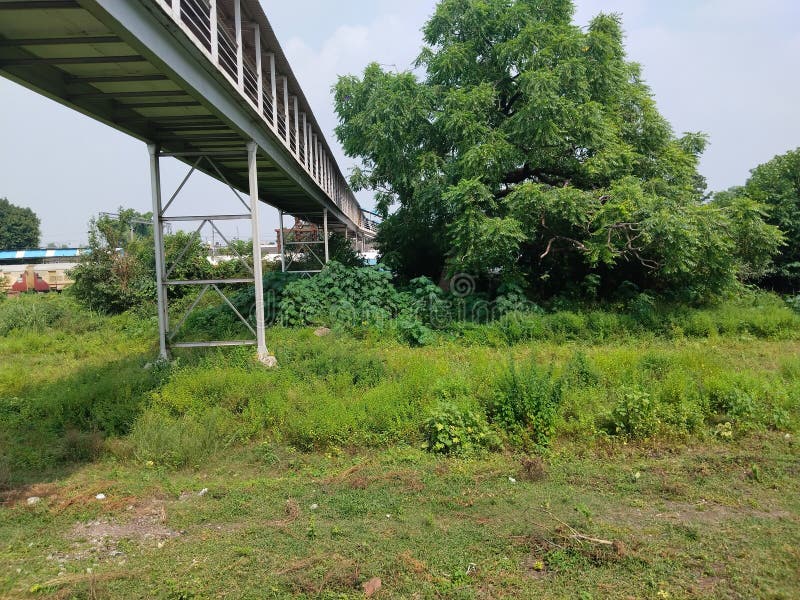 Sky Bridge or Pedestrian Bridge Connecting Platforms Train Station ...