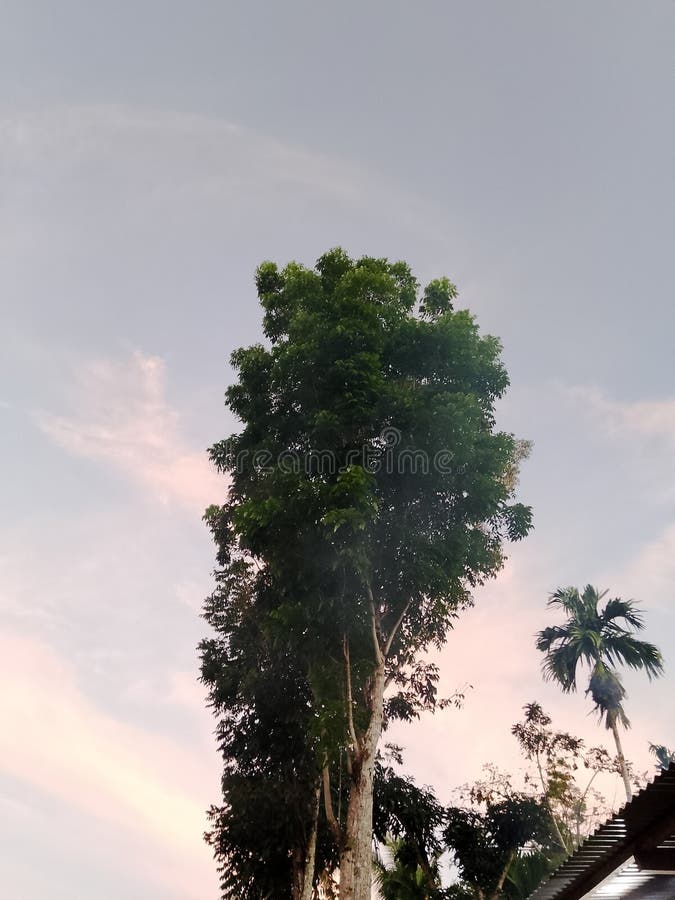 The Sky Burns with Soft Gold and Fading Fire, As Silence Wraps the ...