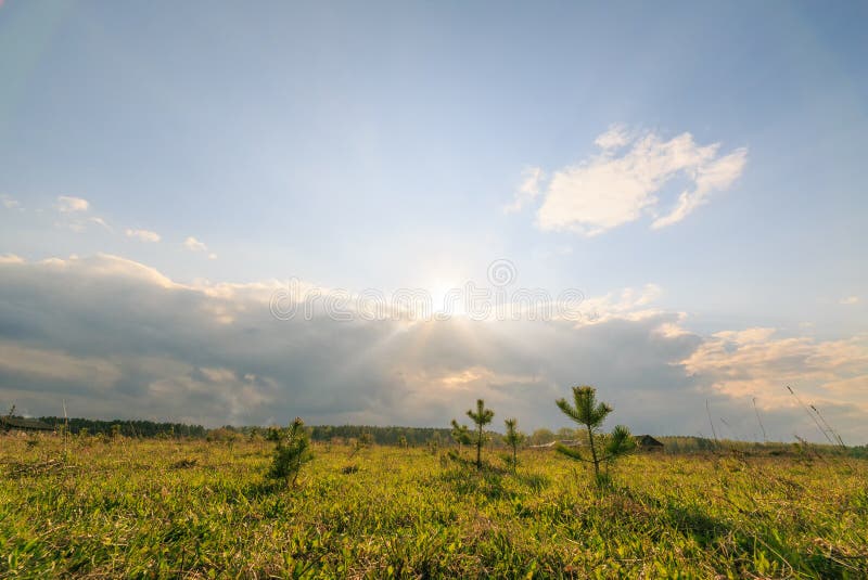 The Sky is Cleared after the Rain. Stock Image - Image of meadow ...