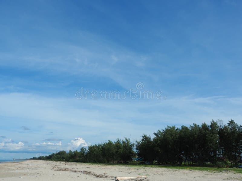 Sky cloud beach and tree stock photo. Image of cloud - 185663814