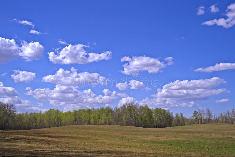 Sky, Cloud, Grassland, Ecosystem Picture. Image: 117789170