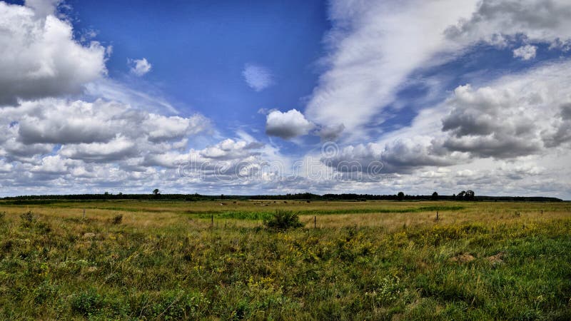 Sky, Cloud, Grassland, Ecosystem Picture. Image: 135689973