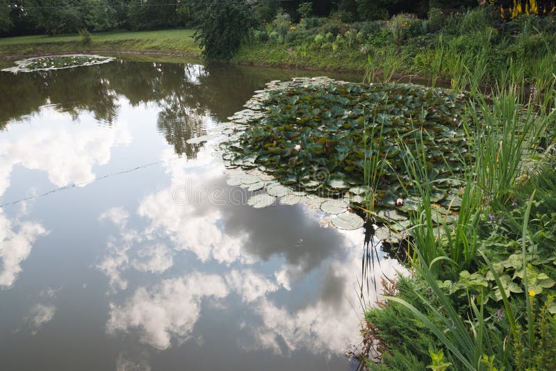 Sky and cloud reflection stock photo. Image of waterway - 290918012