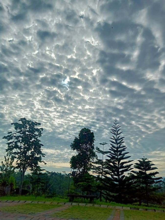 Sky cloud road tree stock image. Image of claud, road - 250530929