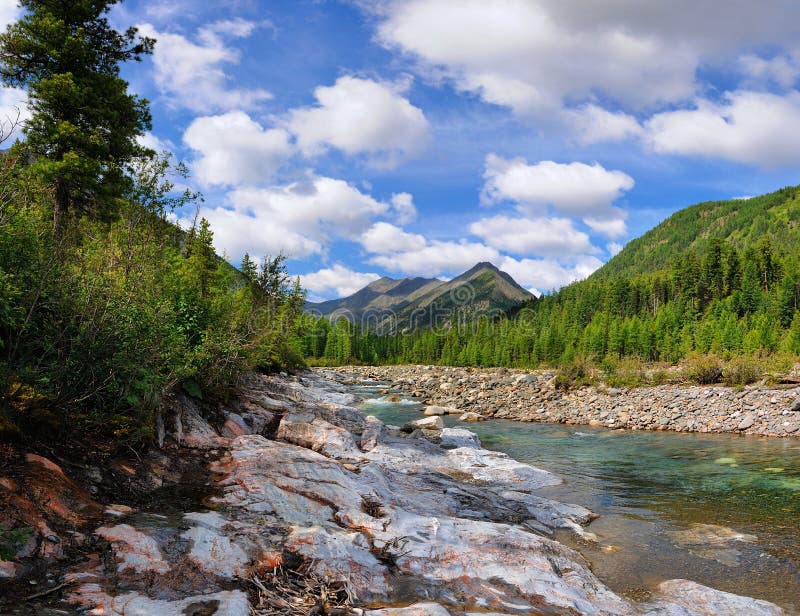 Mountain Stream in Colorado Stock Photo - Image of creek, clear: 15375548