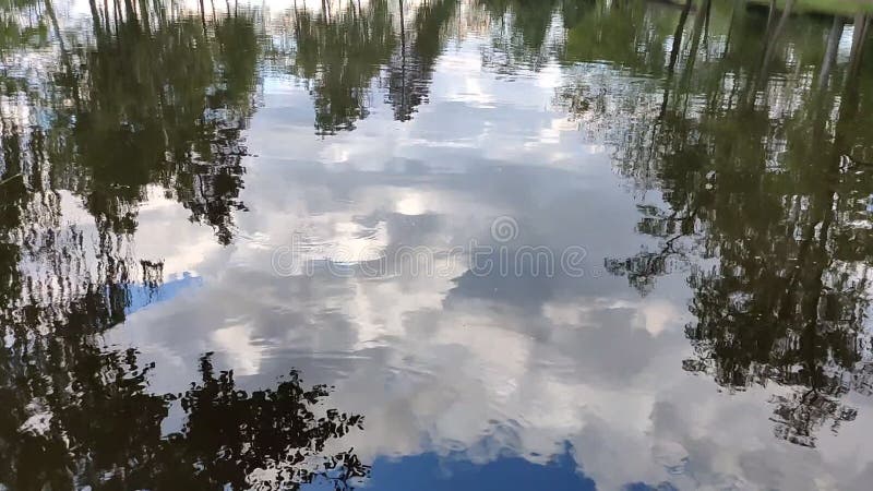 Reflections in the Lake of Clouds and Trees Stock Video - Video of lake, beautiful: 261109777