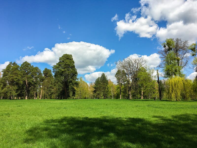 A great spring day stock photo. Image of green, glade - 115351282