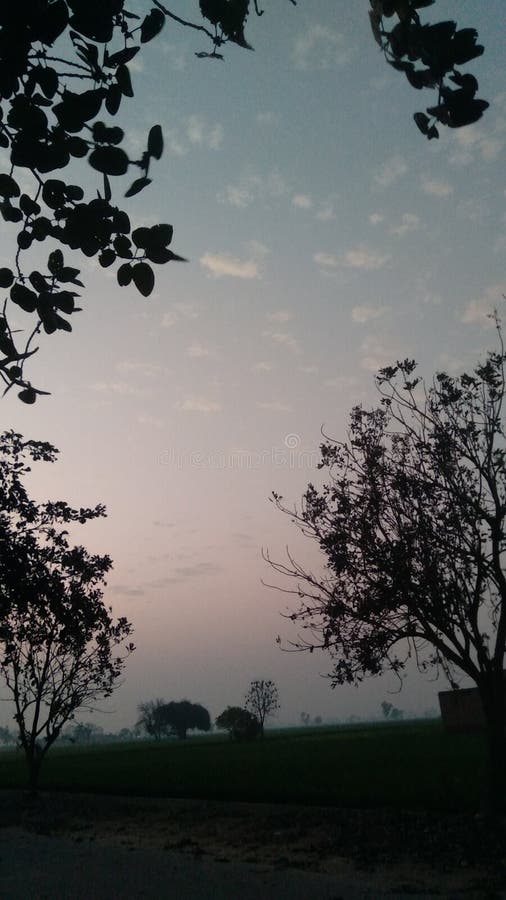 Sky clouds sun tree moon stock image. Image of moon - 312017429