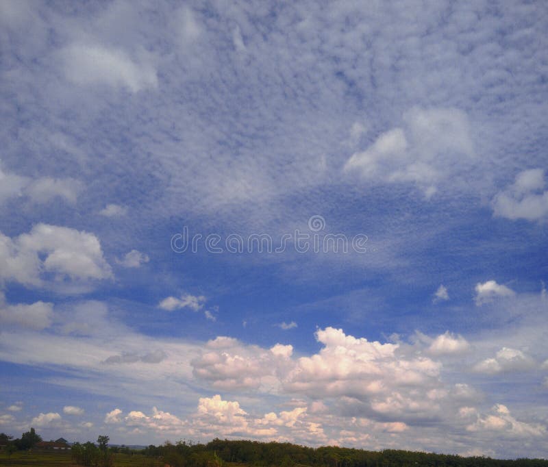 Sky, Clouds, Sunny, Cheerful, Beautiful Stock Photo - Image of cloud ...
