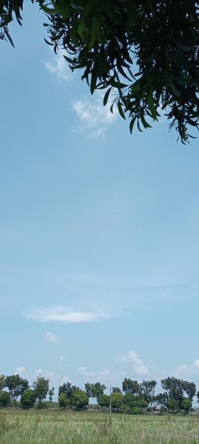 Sky clouds trees grass editorial stock image. Image of blue - 252548134