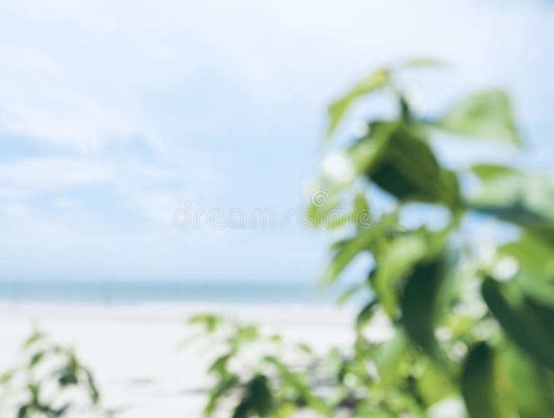 Sky coast view perspective stock photo. Image of view - 192242590