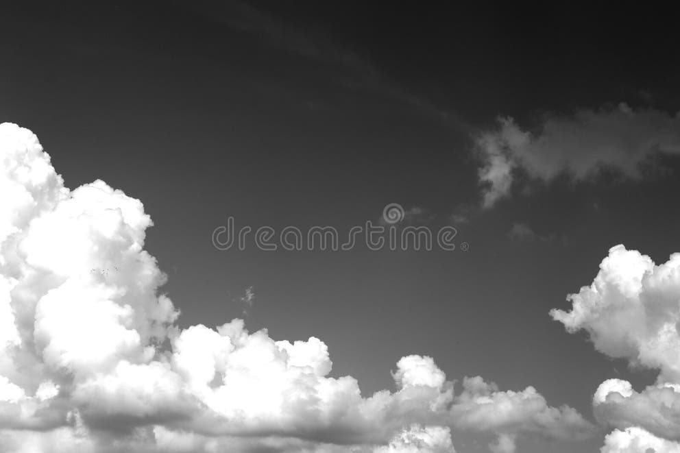 Nature background 2138 stock photo. Image of abstract - 319759634