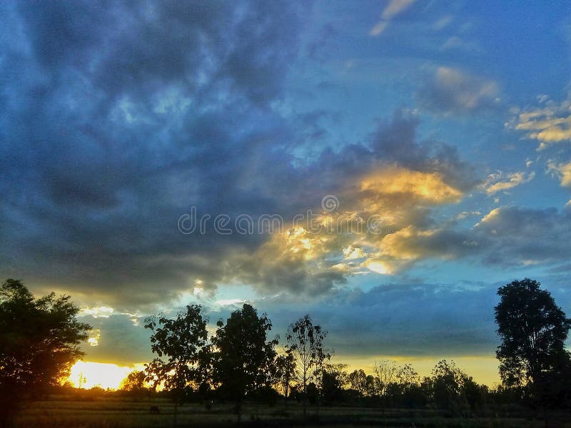 Sky, Dark, Twilight, Gloomy, Blur, Trees, Shadow Stock Photo - Image of ...