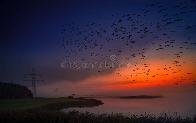 Sky, Dawn, Atmosphere, Afterglow Picture. Image: 110551981