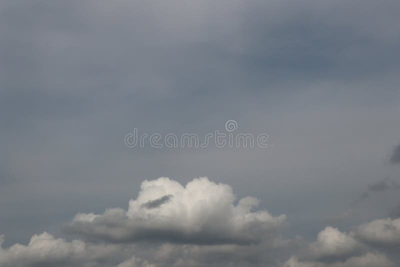 Nature background 2553 stock image. Image of black, diffuse - 319785229