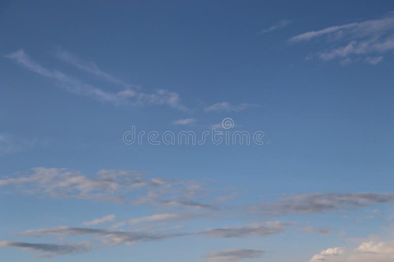 Nature background 1621 stock photo. Image of sunlight - 319522514