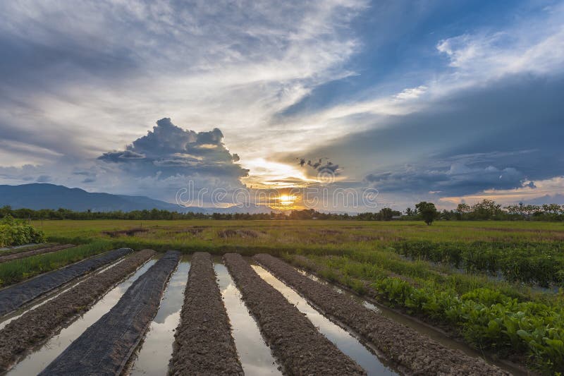 Sky stock image. Image of countryrside, dramatic, color - 31776441