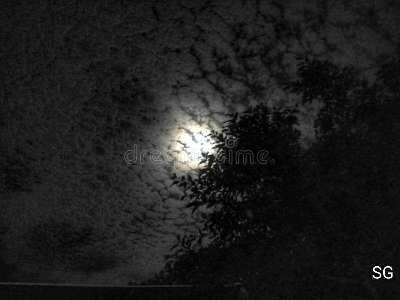 Dark Night Very Light Moon Light Stock Image - Image of moon, dark ...