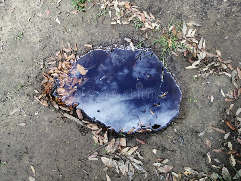 Sky on earth stock image. Image of water, leaves, earth - 149141737