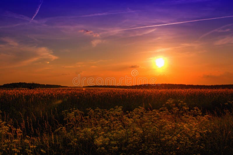 Sky, Ecosystem, Field, Afterglow Picture. Image: 99282500